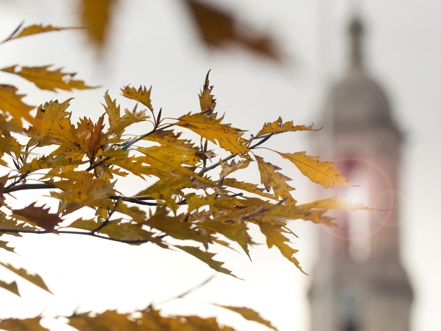 Rates announced for 2025-26 | The Penn State Parent & Family Hub